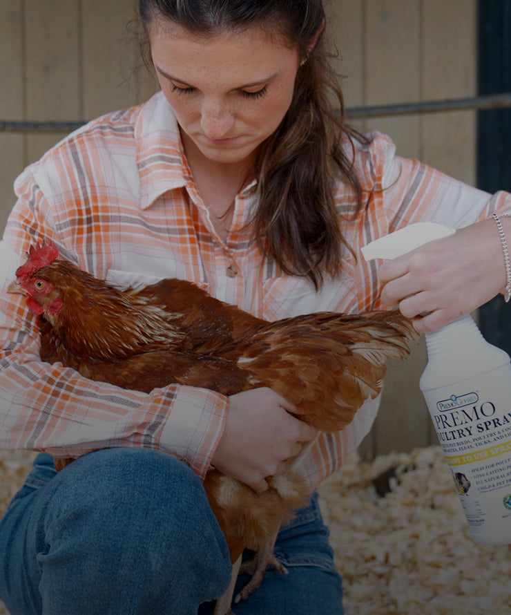 Why Chicken Owners Are Switching to Premo Guard – Premo Natural Products